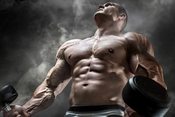 Understanding the Power of Testosterone Suspension Cycle in Bodybuilding